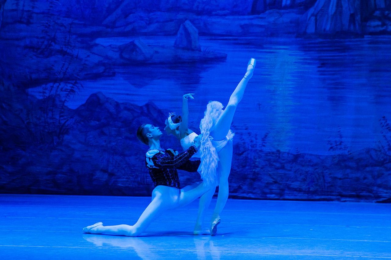 El lago de los cisnes: desde Rusia hasta el centro de Medellín ...